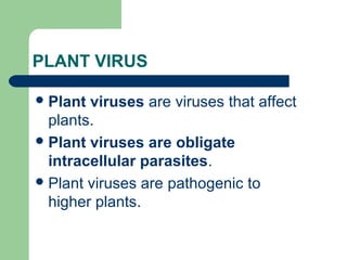 Taxonomy of plant viruses | PPT