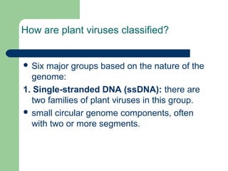Taxonomy of plant viruses | PPT