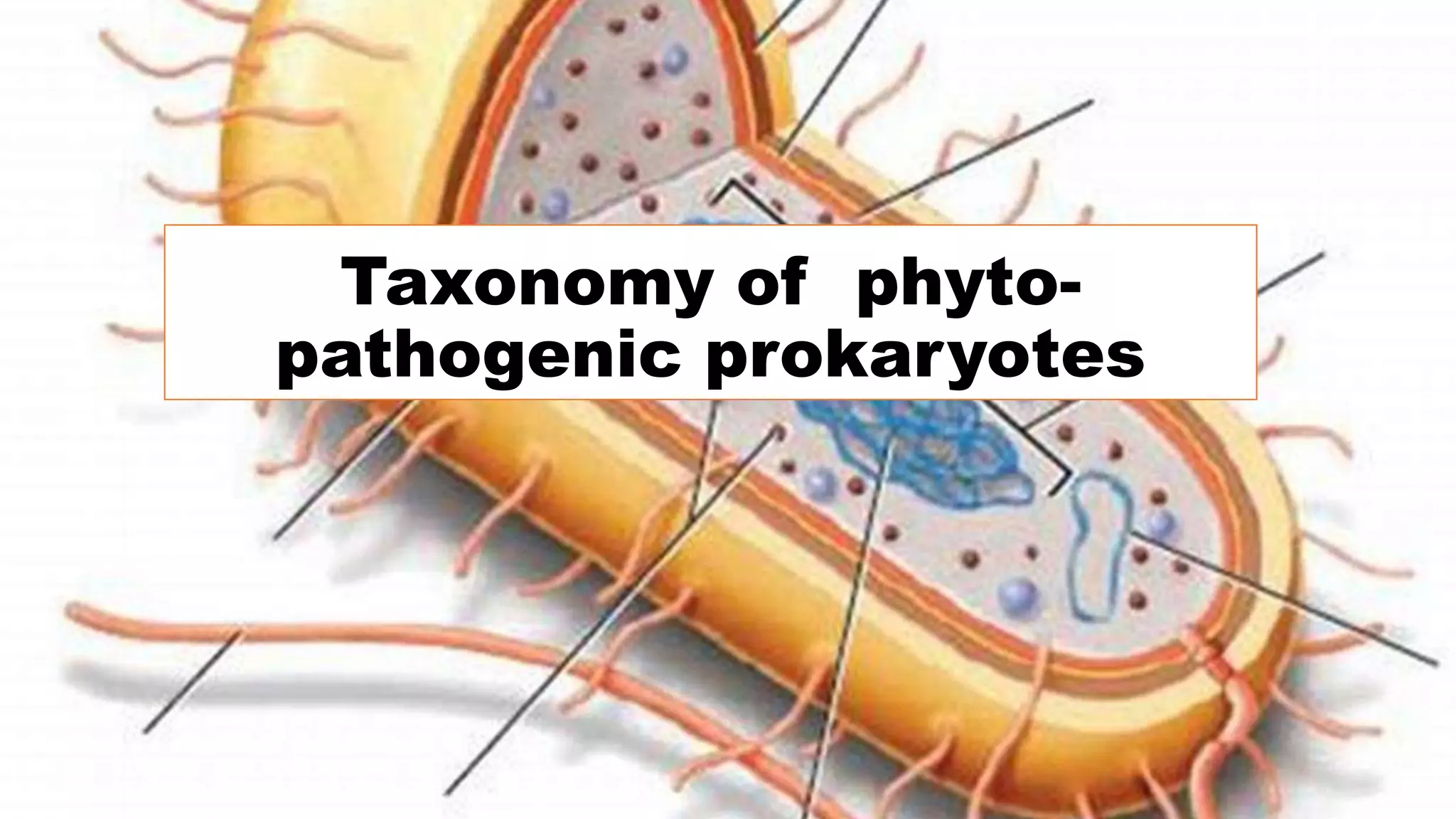 Taxonomy of prokaryotes | PPTX