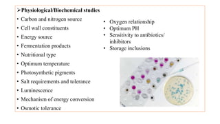Taxonomy of prokaryotes | PPTX