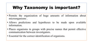 Taxonomy of prokaryotes | PPTX