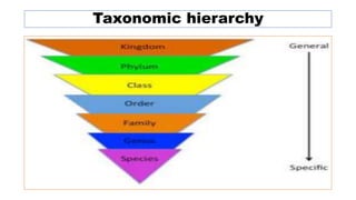Taxonomy of prokaryotes | PPTX
