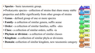 Taxonomy of prokaryotes | PPTX