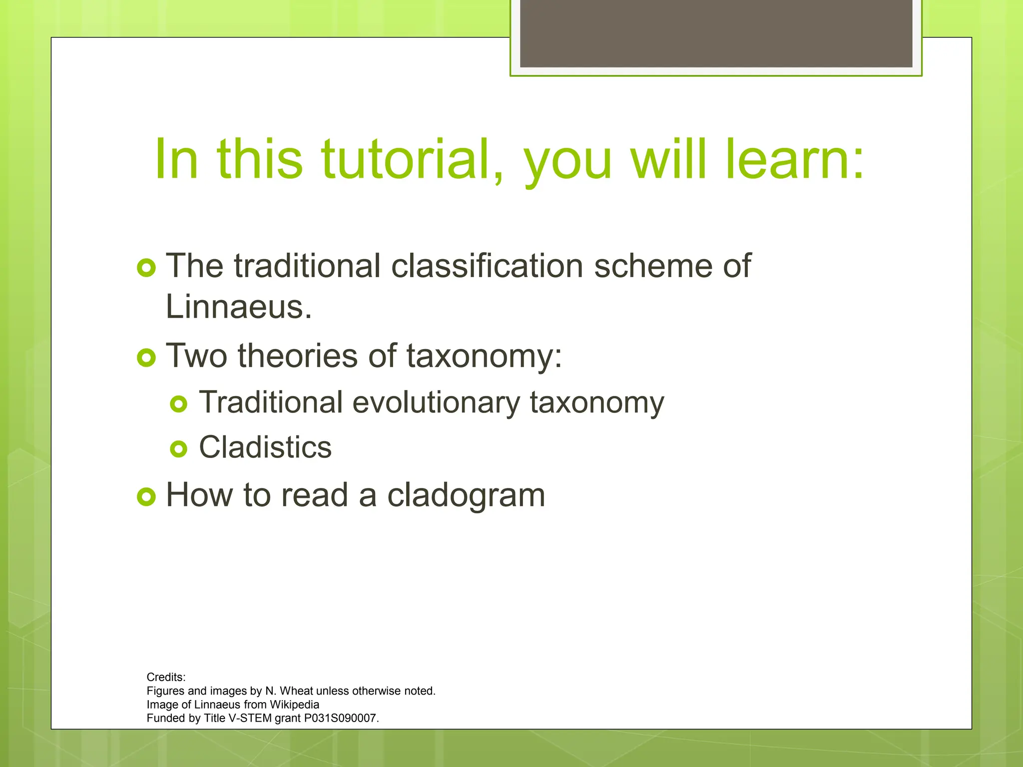 taxonomyphylogenytutorial.ppt GENERAL BIOLOGY | PPT