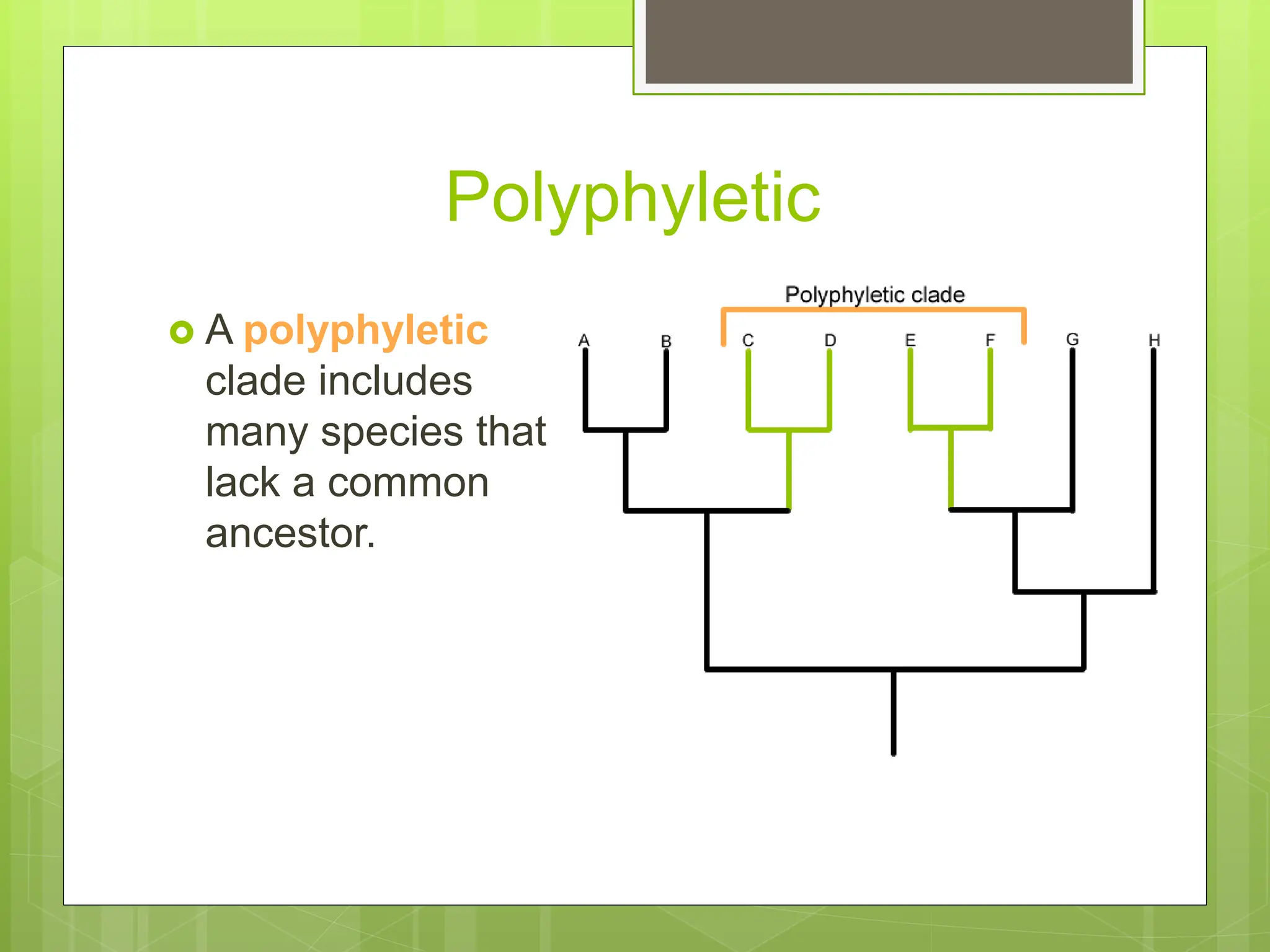 taxonomyphylogenytutorial.ppt GENERAL BIOLOGY | PPT