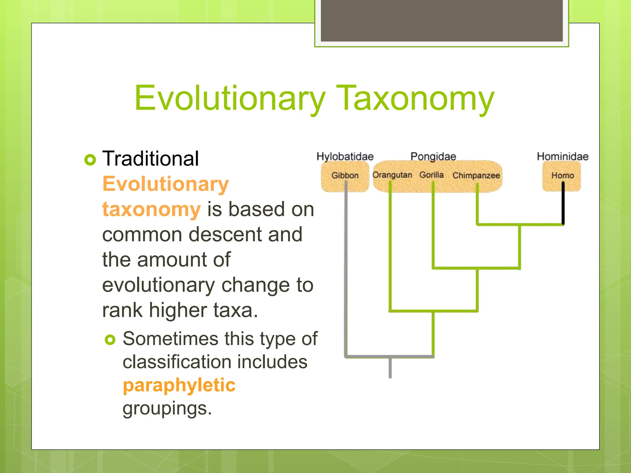 taxonomyphylogenytutorial.ppt GENERAL BIOLOGY | PPT