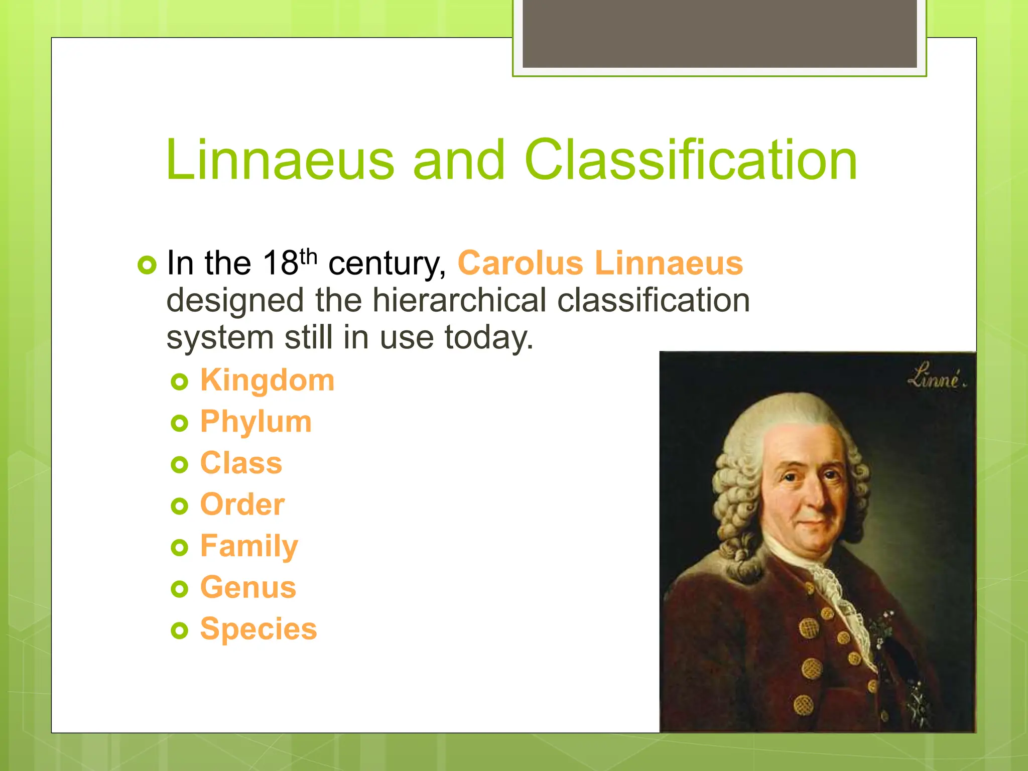 taxonomyphylogenytutorial.ppt GENERAL BIOLOGY | PPT