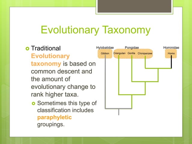 taxonomyphylogenytutorial.ppt GENERAL BIOLOGY | PPT