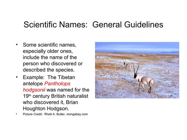 Taxonomy Powerpoint GRADE 8 SCIENCE 123465 | PPT