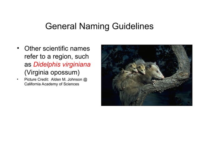 Taxonomy Powerpoint GRADE 8 SCIENCE 123465 | PPT