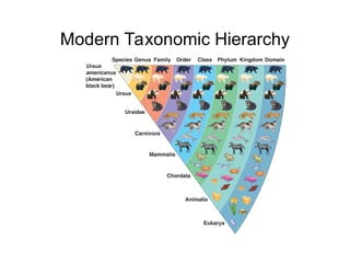 Taxonomy Powerpoint GRADE 8 SCIENCE 123465 | PPT