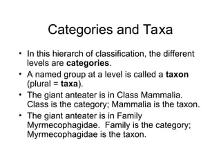 Taxonomy Powerpoint GRADE 8 SCIENCE 123465 | PPT