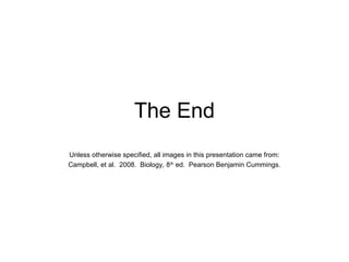 Taxonomy Powerpoint GRADE 8 SCIENCE 123465 | PPT