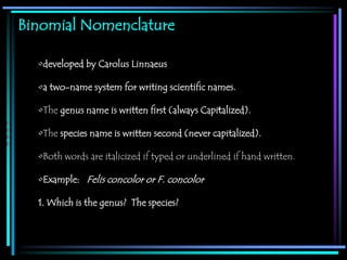 Taxonomy ppt | PPT | Biological Sciences | Science