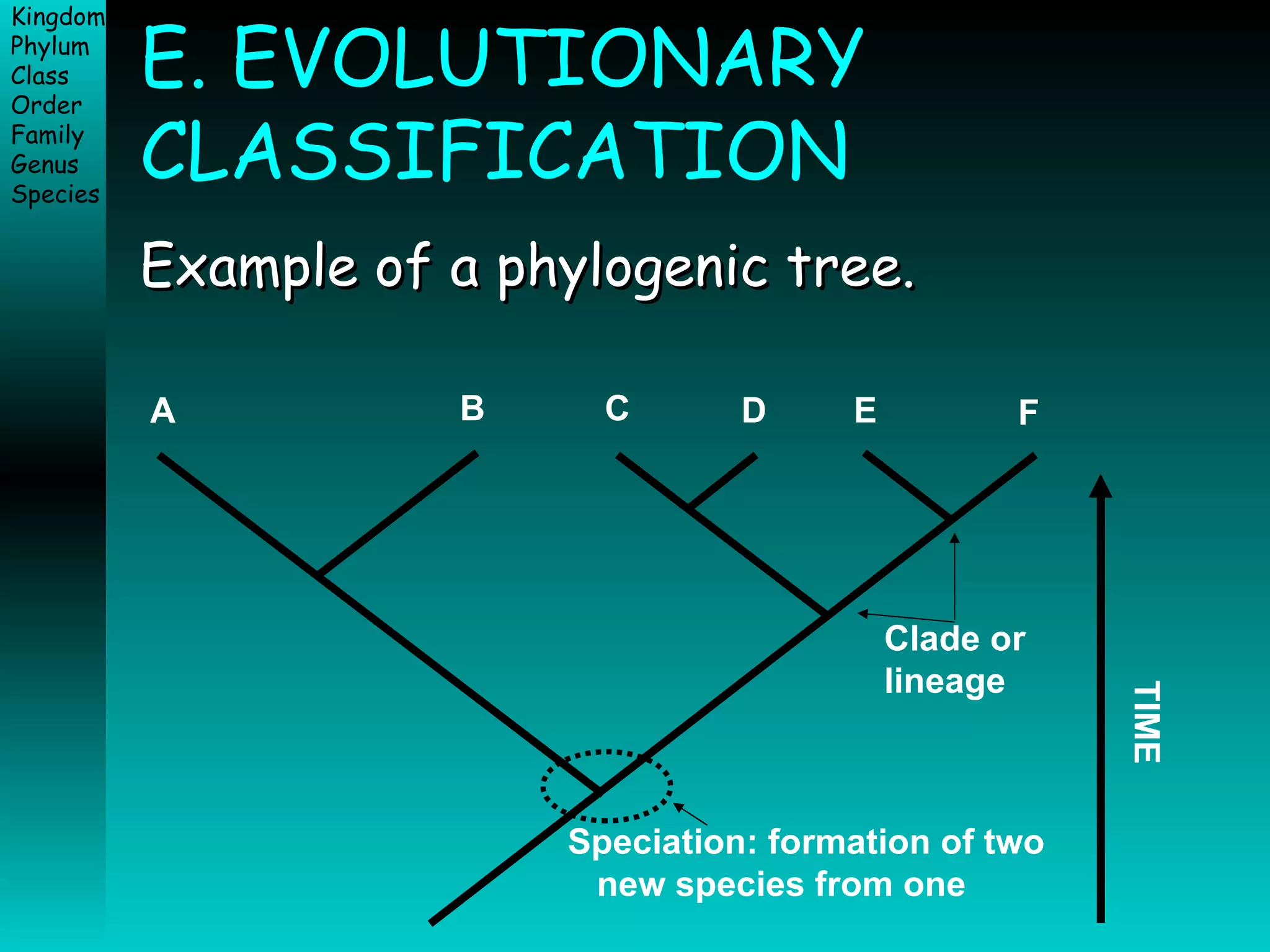 Taxonomy ppt | PPT