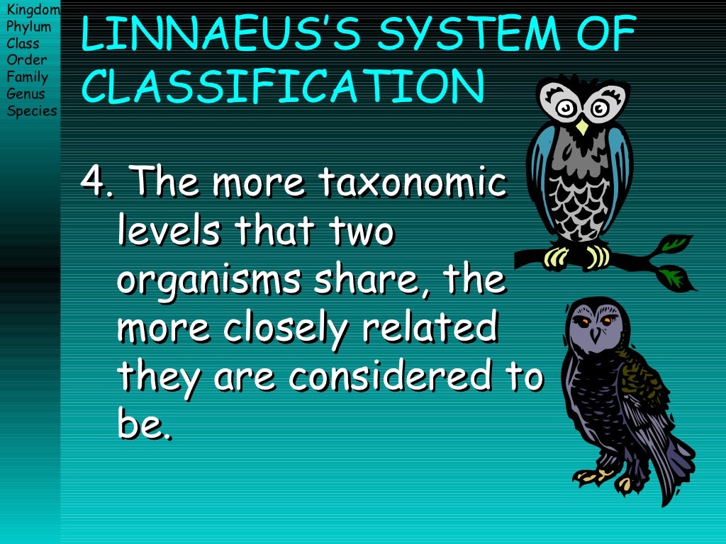 Taxonomy ppt