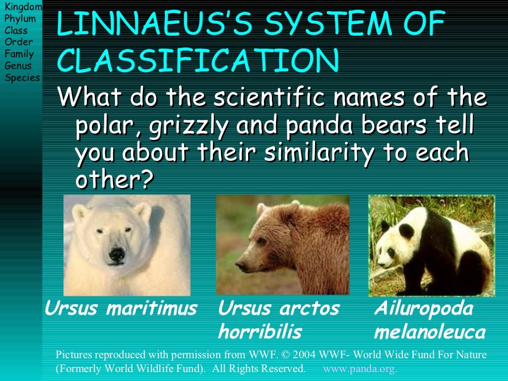 Taxonomy Ppt 
