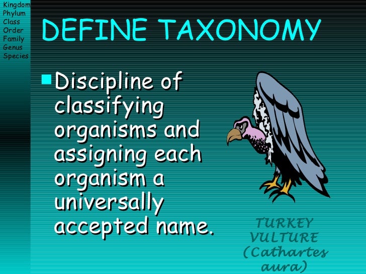 Taxonomy ppt