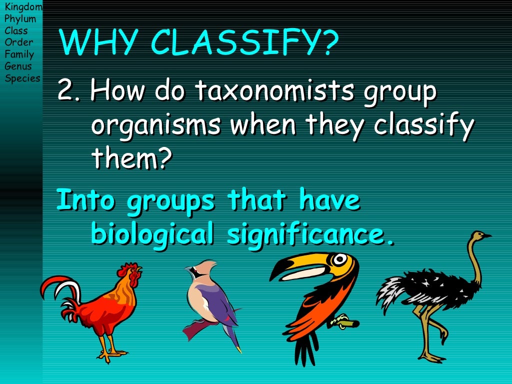 Taxonomy ppt