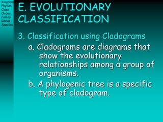 taxonomyppt.ppt