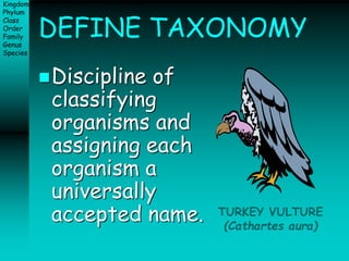 taxonomyppt.ppt