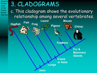 taxonomyppt.ppt