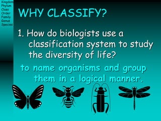 taxonomyppt.ppt