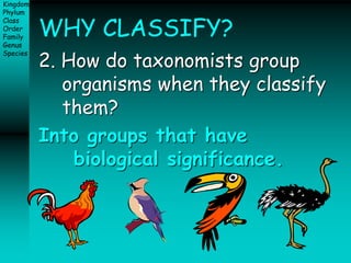 taxonomyppt.ppt