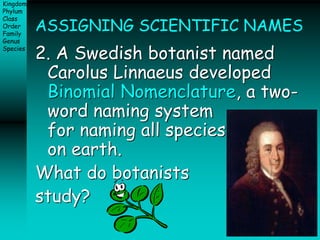 taxonomyppt.ppt