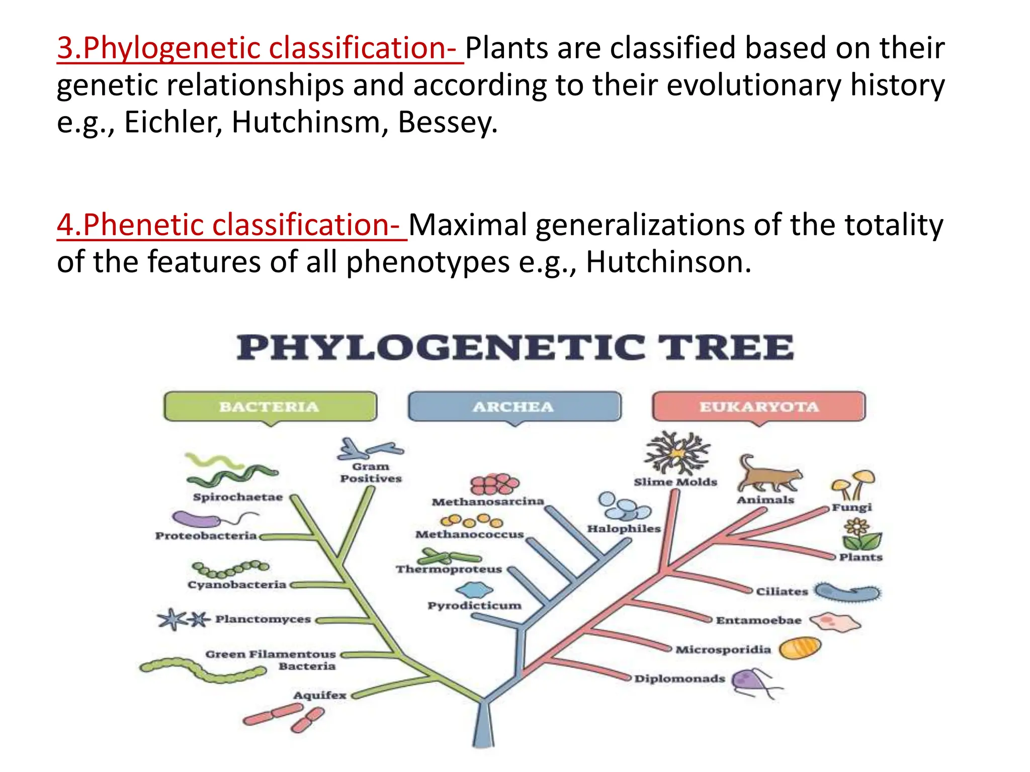 Aims & fundamental components of taxonomy | PPT