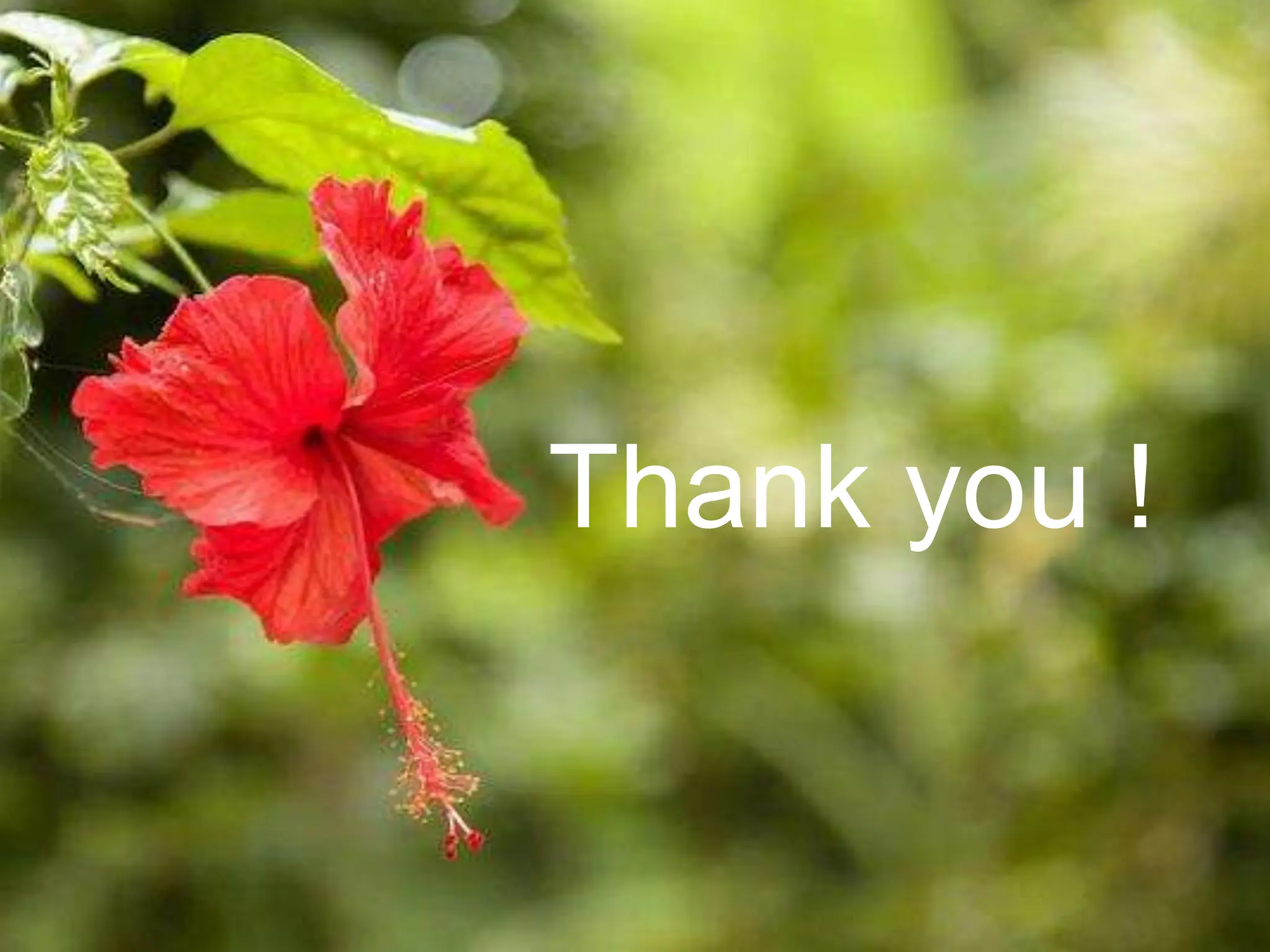 Aims & fundamental components of taxonomy | PPT