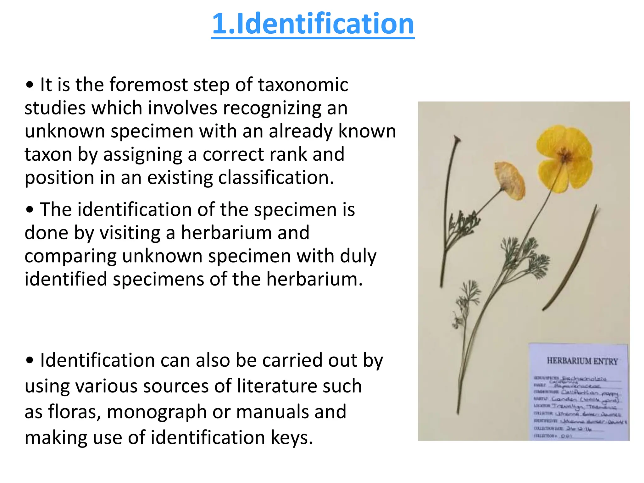 Aims & fundamental components of taxonomy | PPT