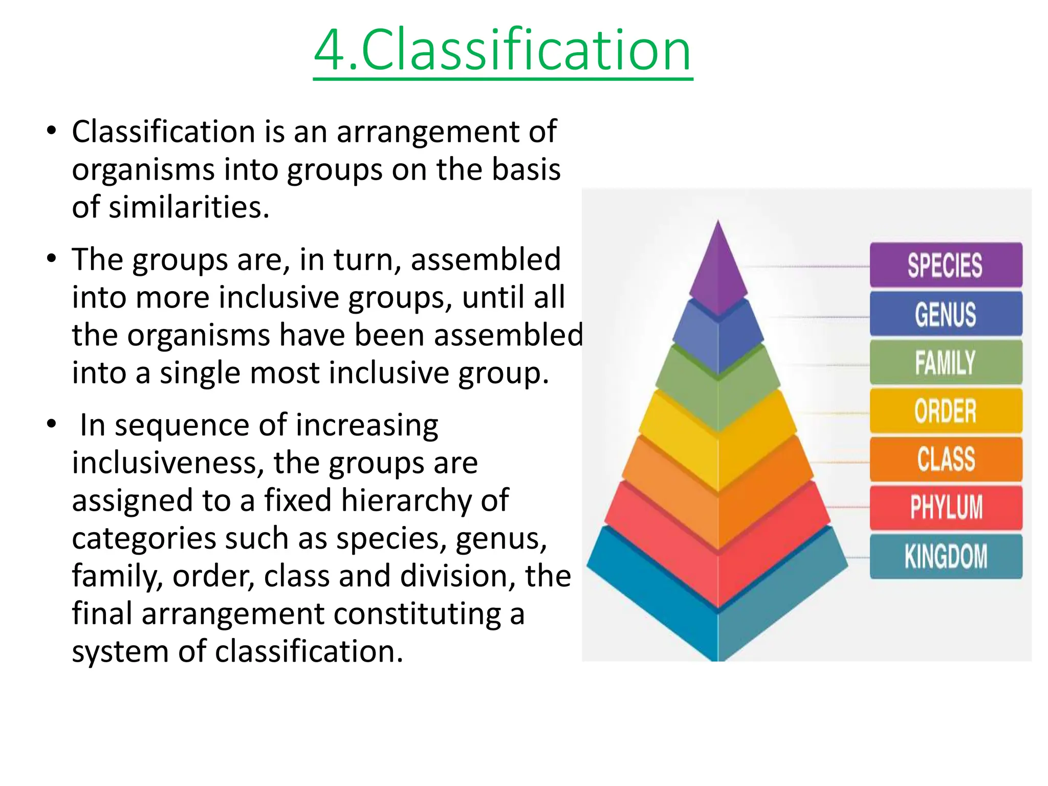 Aims & fundamental components of taxonomy | PPT
