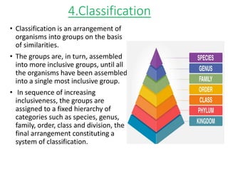 Aims & fundamental components of taxonomy | PPT