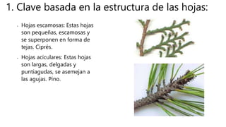 TAX S31.pptx............................ | PPTX
