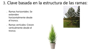 TAX S31.pptx............................ | PPTX