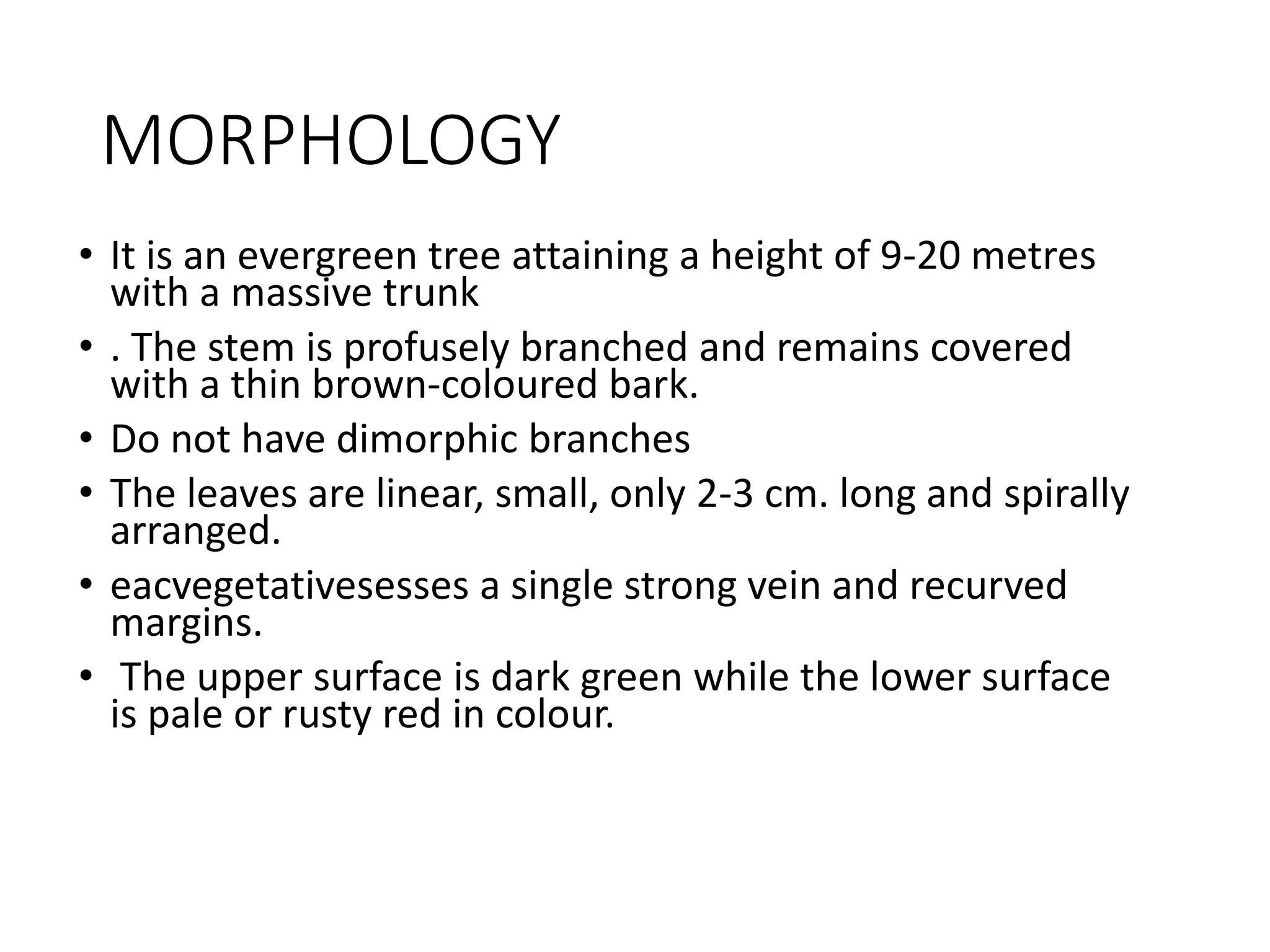 Taxus -Morphological ,anatomical and reproductive features &Economic ...