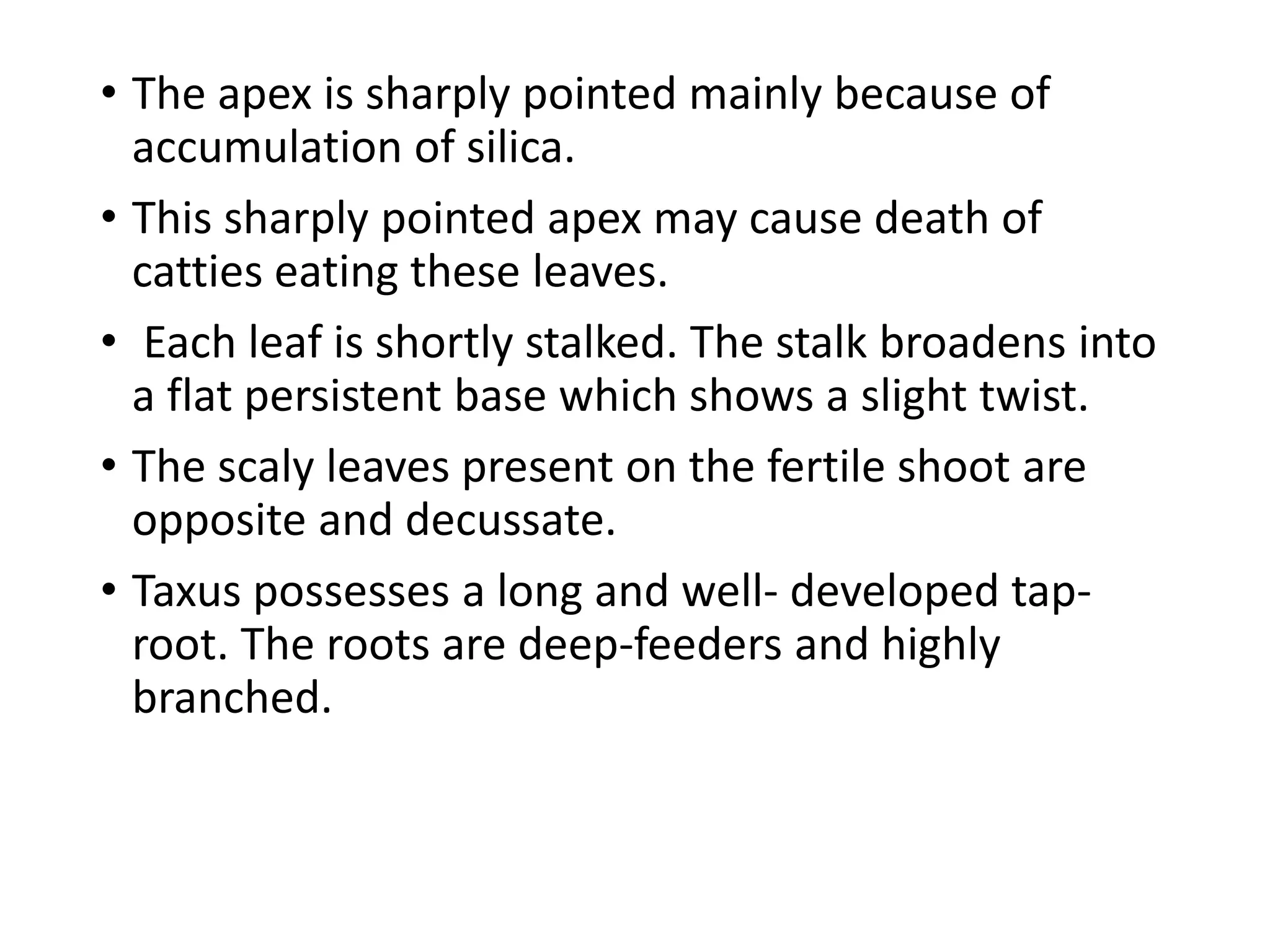 Taxus -Morphological ,anatomical and reproductive features &Economic ...