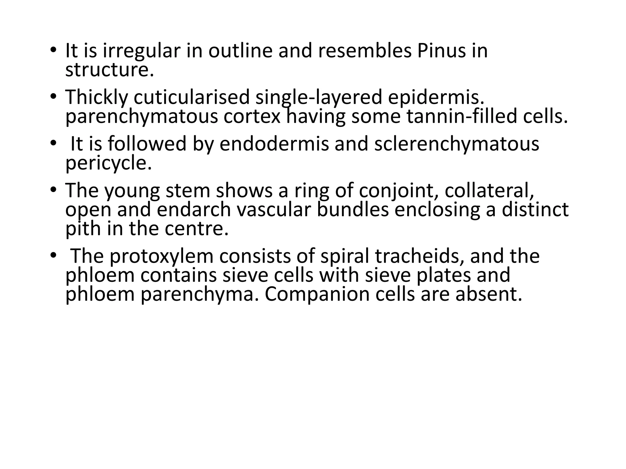 Taxus -Morphological ,anatomical and reproductive features &Economic ...