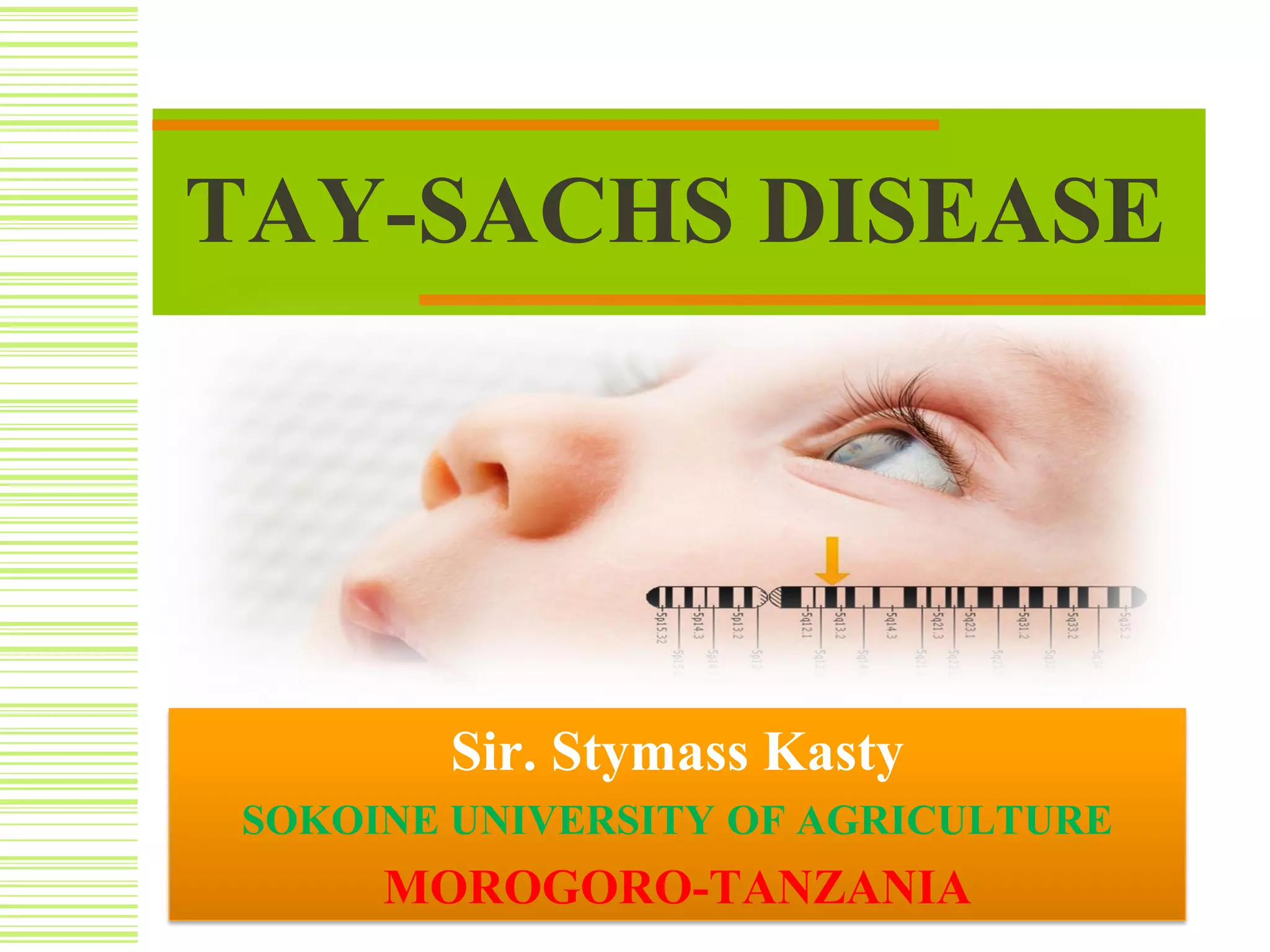 TAY-SACHS DISEASE | PDF