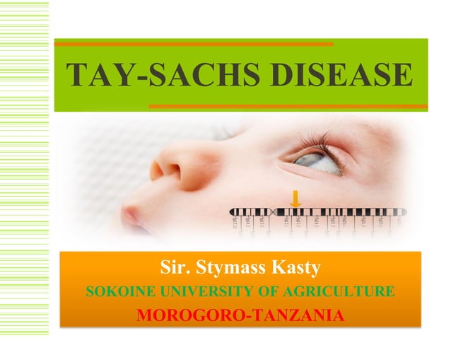 TAY-SACHS DISEASE | PDF | Brain and Nervous System Disorders | Diseases ...