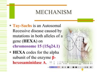TAY-SACHS DISEASE | PDF