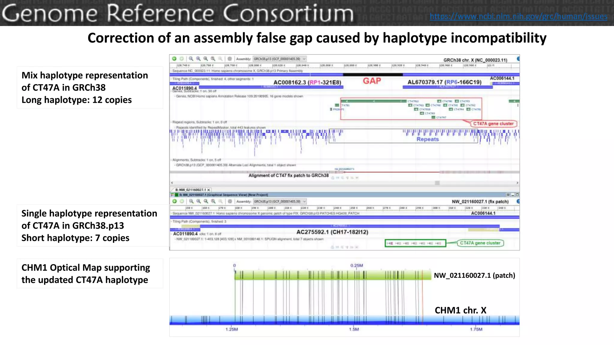 Advancements in the human genome reference assembly (GRCh38) | PPTX