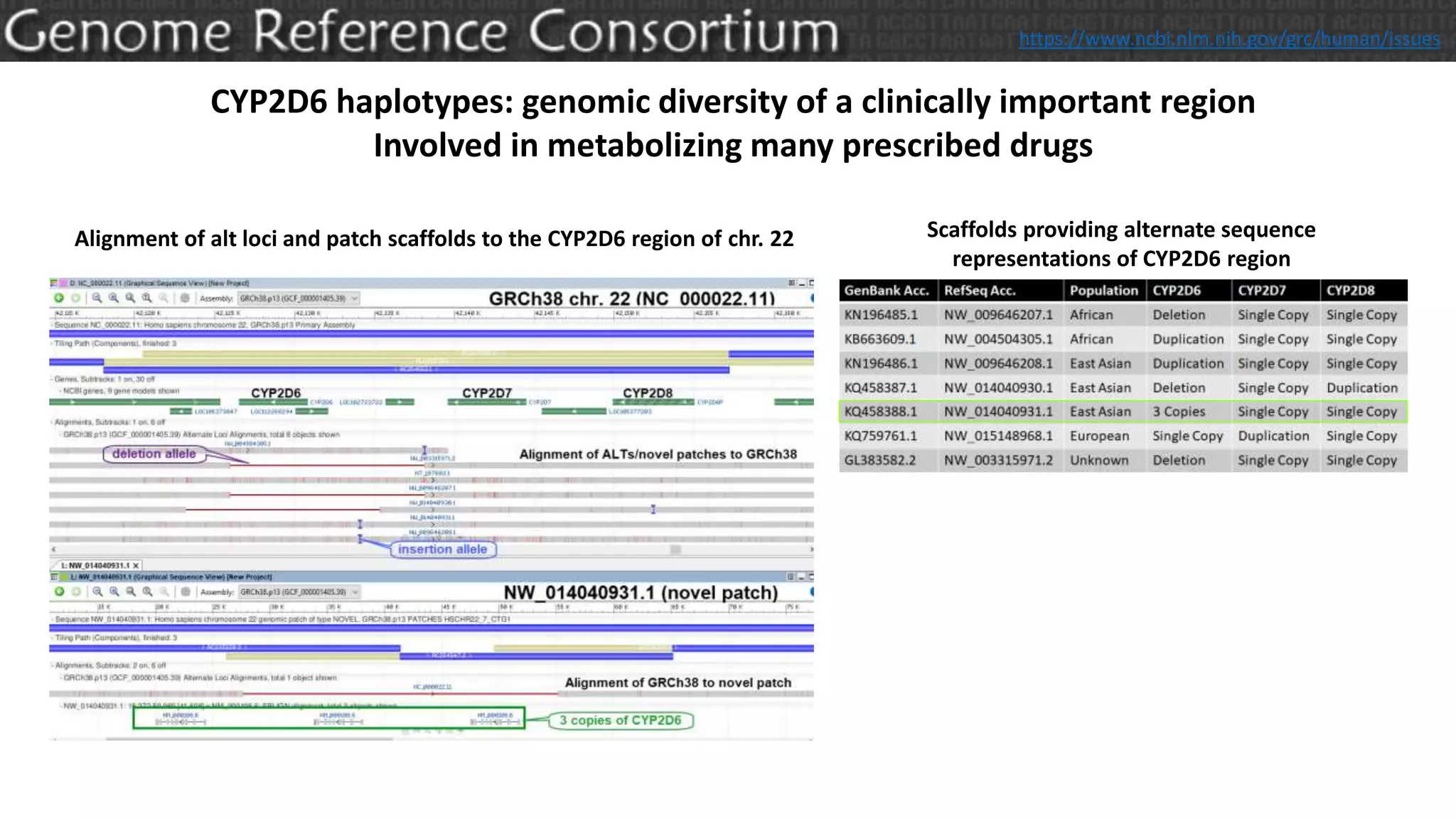 Advancements in the human genome reference assembly (GRCh38) | PPTX