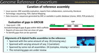 Advancements in the human genome reference assembly (GRCh38) | PPTX