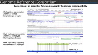 Advancements in the human genome reference assembly (GRCh38) | PPTX