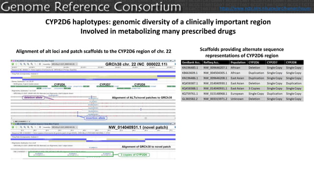 Advancements in the human genome reference assembly (GRCh38) | PPTX