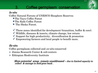An Overview of Coffee Research in Ethiopia | PDF