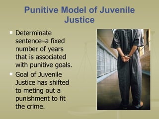 Taylor2 ppt ch2 | PPT