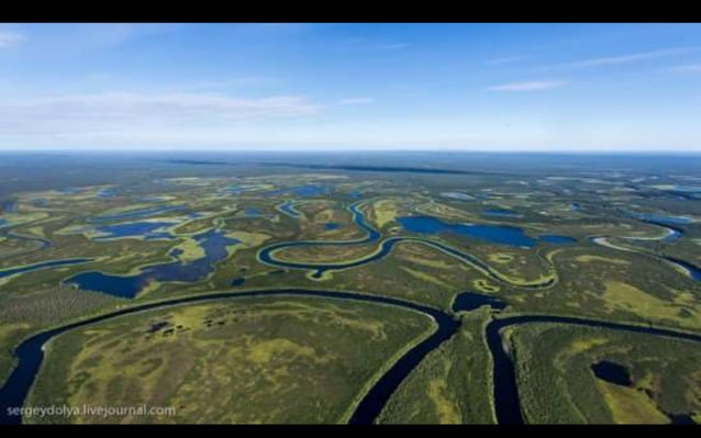 Taymyr peninsula | PPT